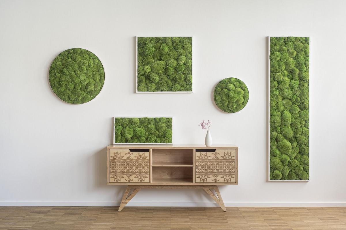 Moosbilder » stylishe Motive für jeden Raum | Möbelix.at