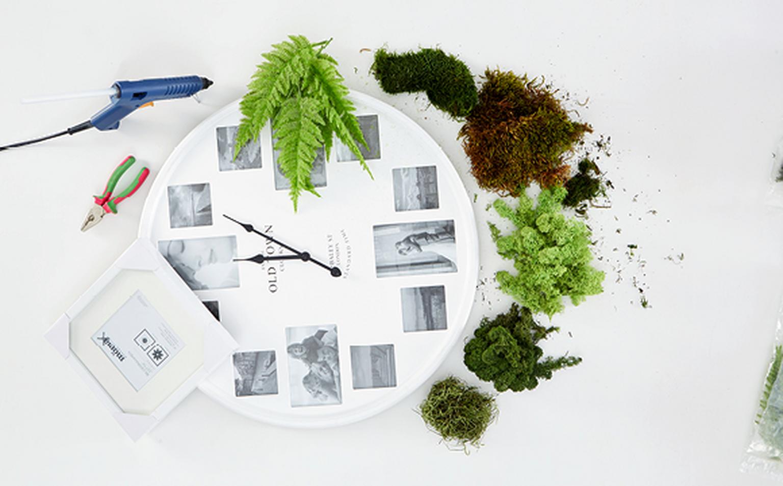 Obraz z mechu Möbelix