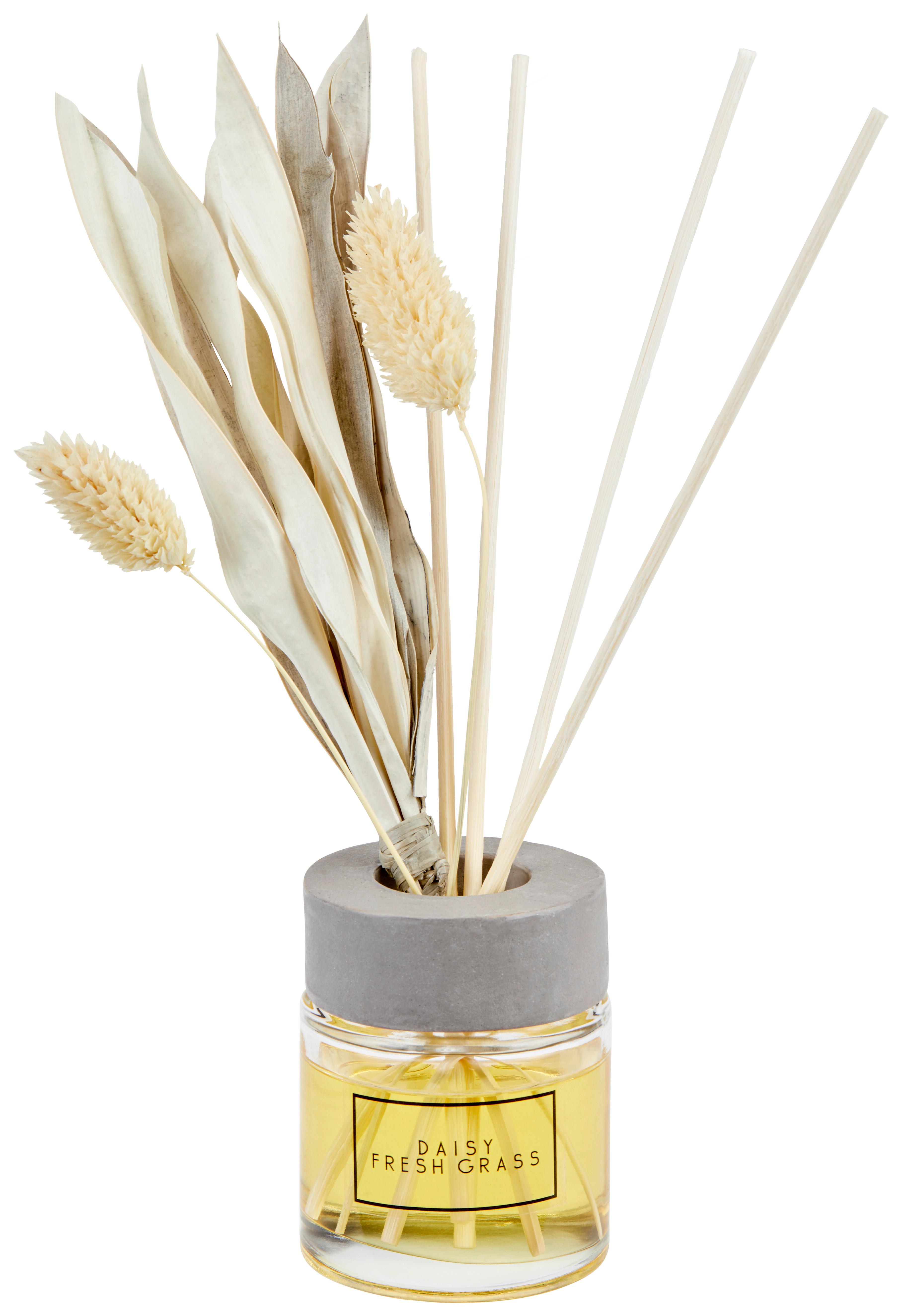 Diffuser Olivenblüte Floral » Angebot entdecken