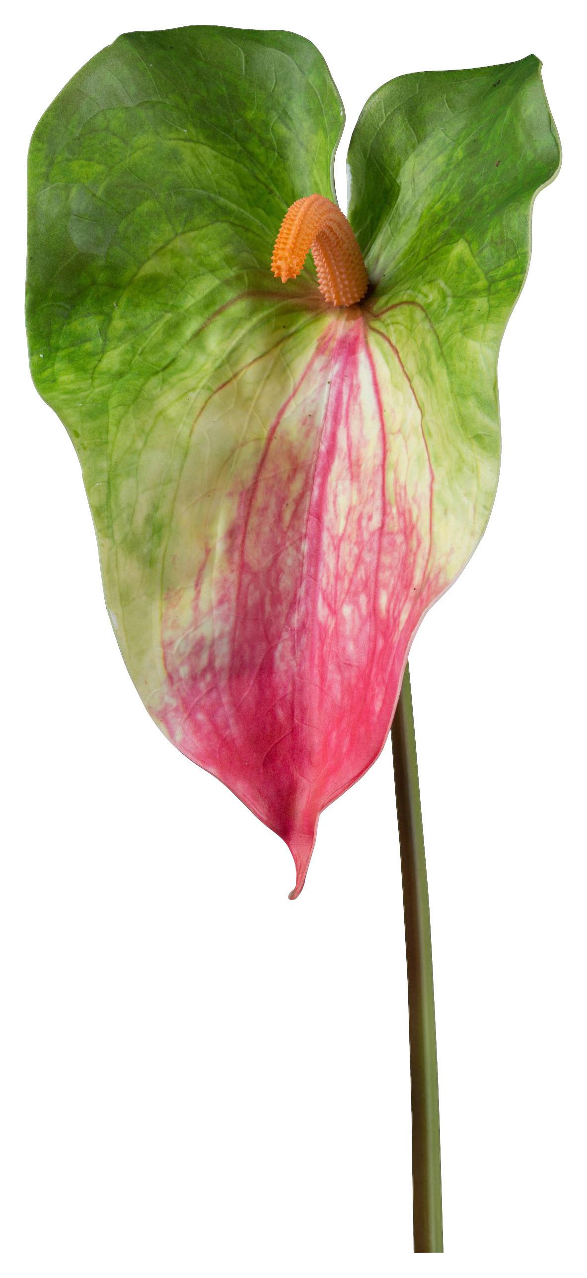 Umelé izbové kvety a rastliny do vázy alebo v kvetináči | Möbelix