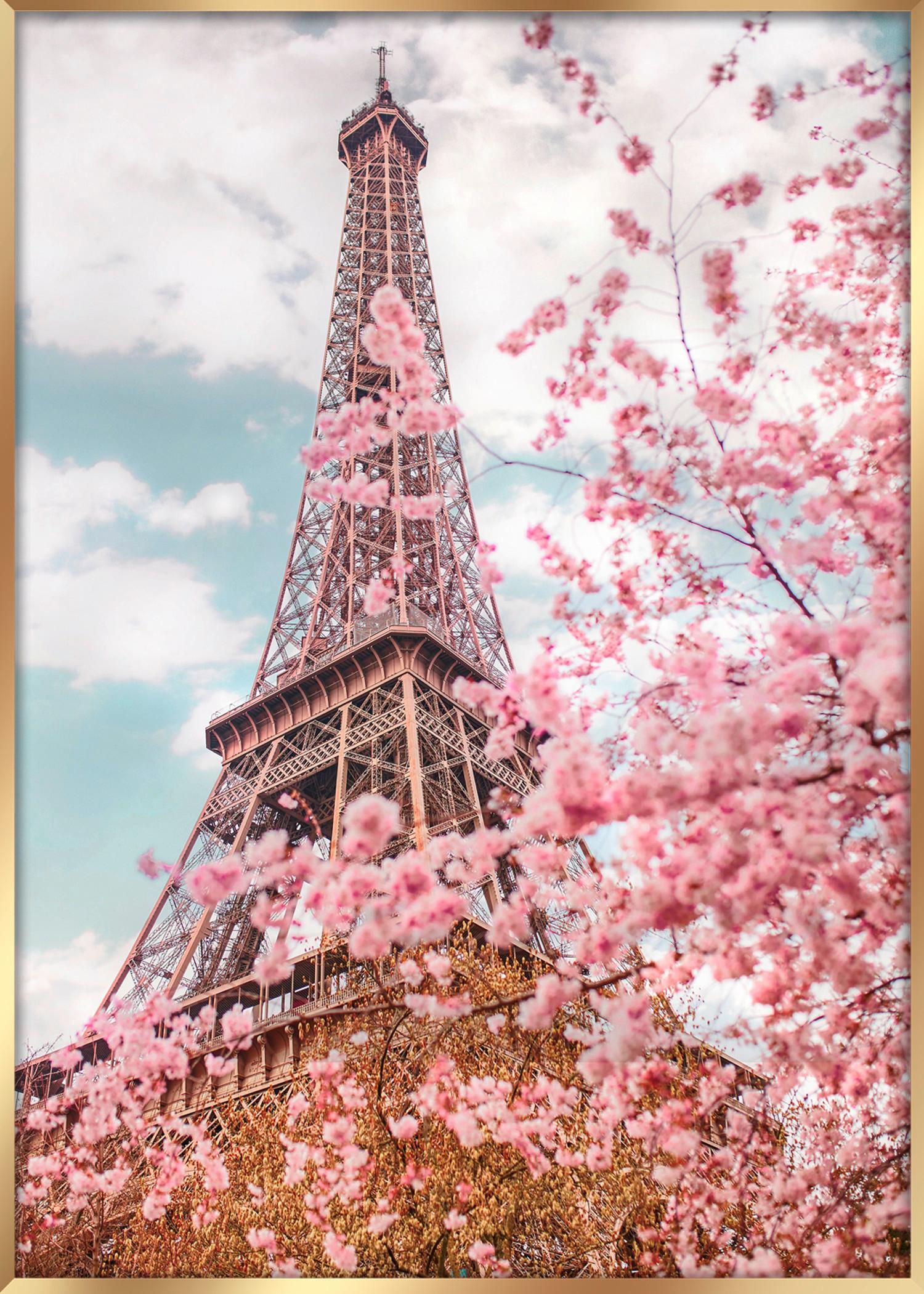 Moderné a abstraktné obrazy na stenu | Möbelix