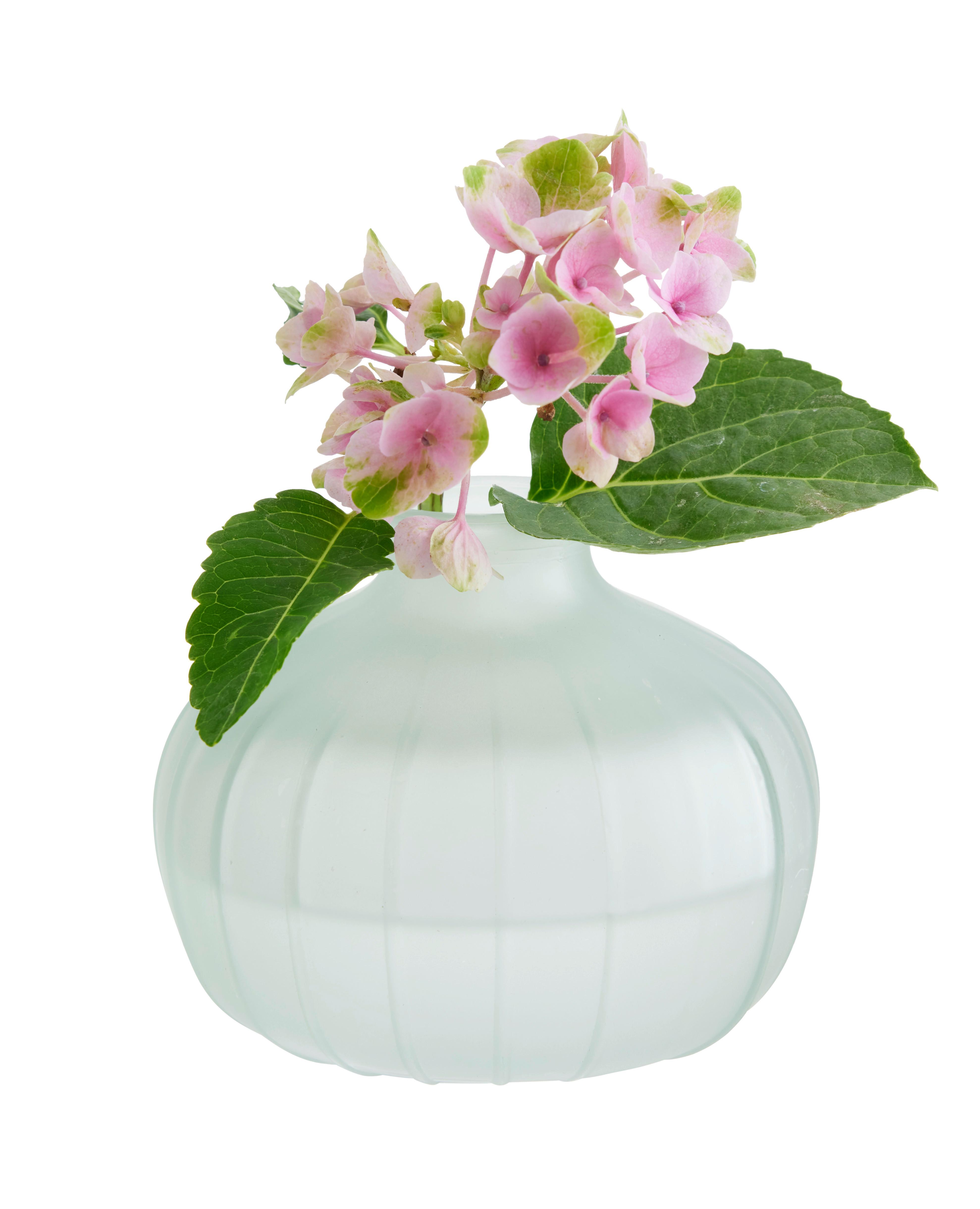 Sklenené, dekoračné a vysoké vázy na podlahu | Möbelix