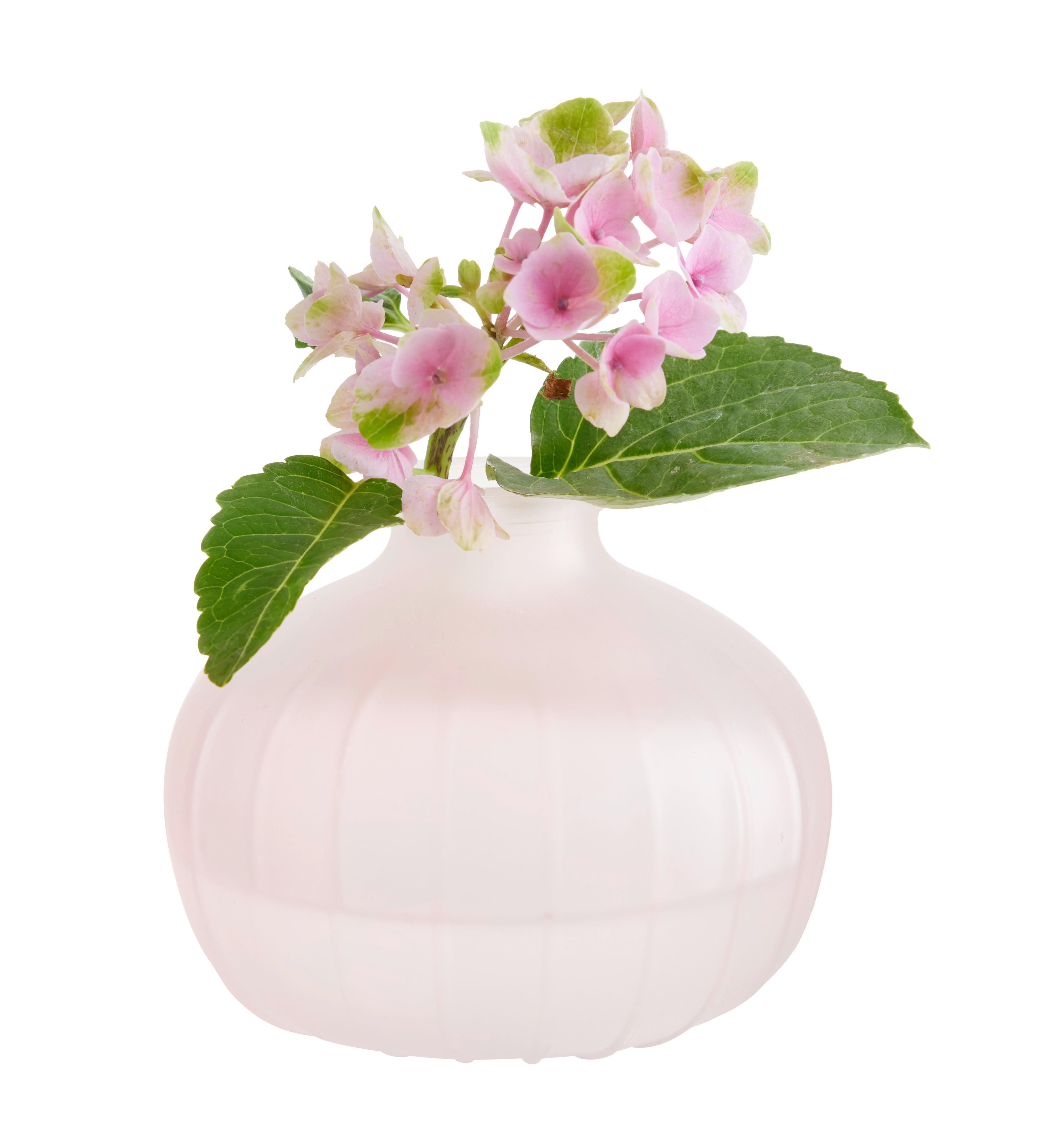 Sklenené, dekoračné a vysoké vázy na podlahu | Möbelix